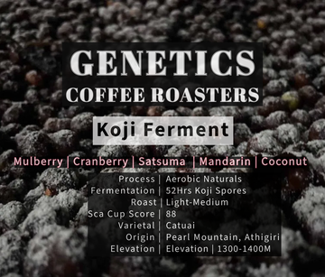 Koffee Genetics - Coffee Roasting Company – Genetics Coffee