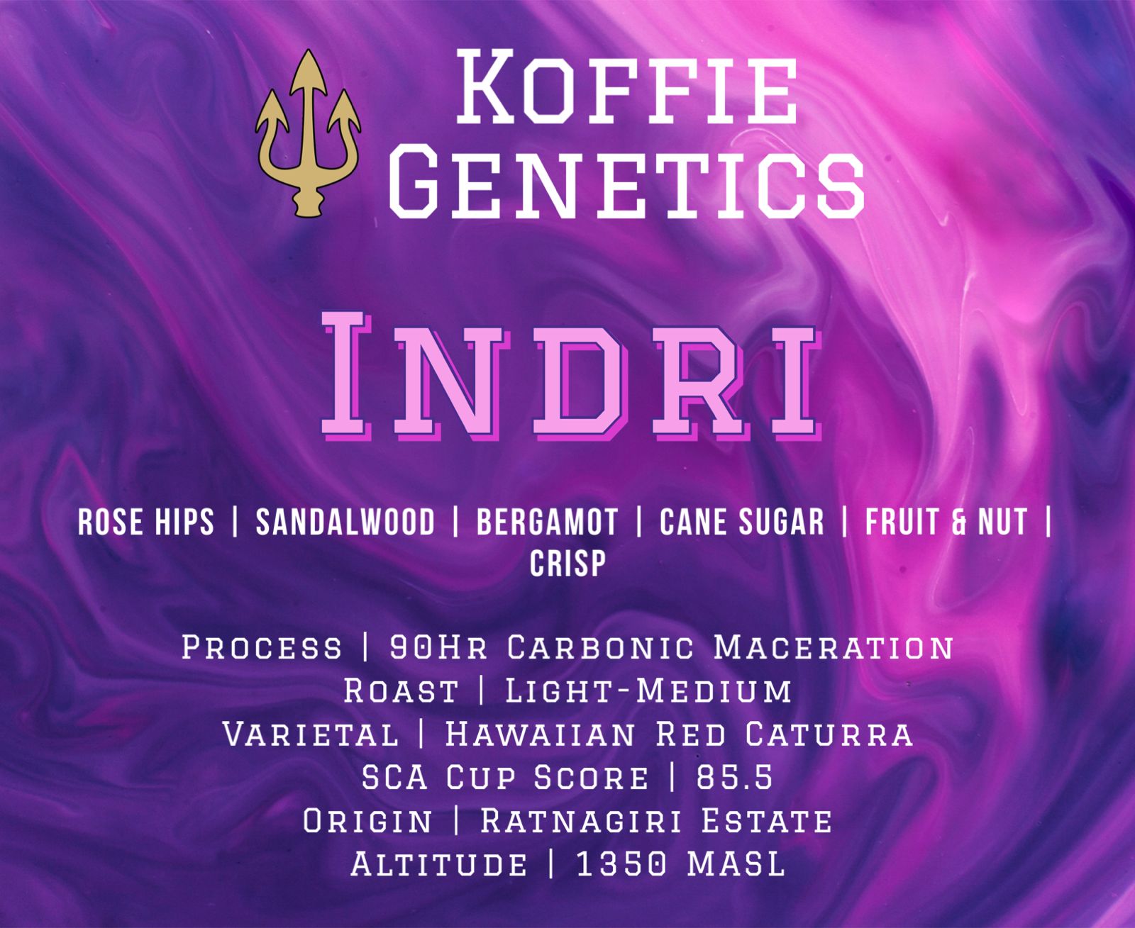 Koffee Genetics - Coffee Roasting Company – Genetics Coffee