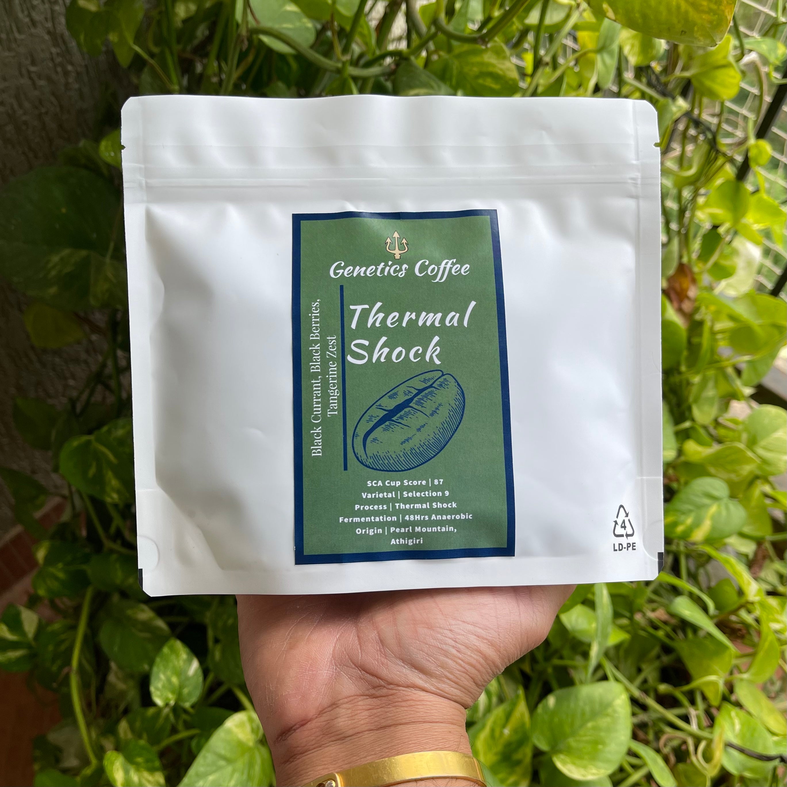 SINGLE ORIGINS – Genetics Coffee